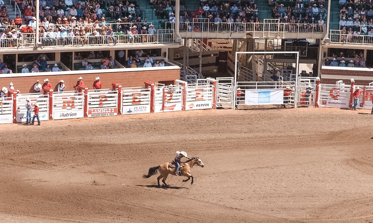 Calgary Stampede Rodeo