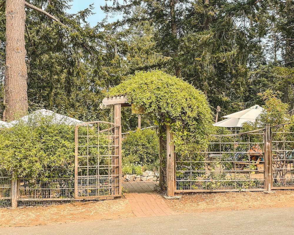 34 Best Things to do in Salt Spring Island, BC