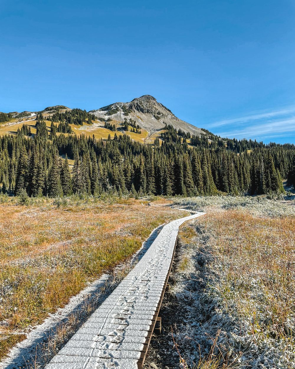 Garibaldi Lake and Panorama Ridge Camping & Hiking Guide