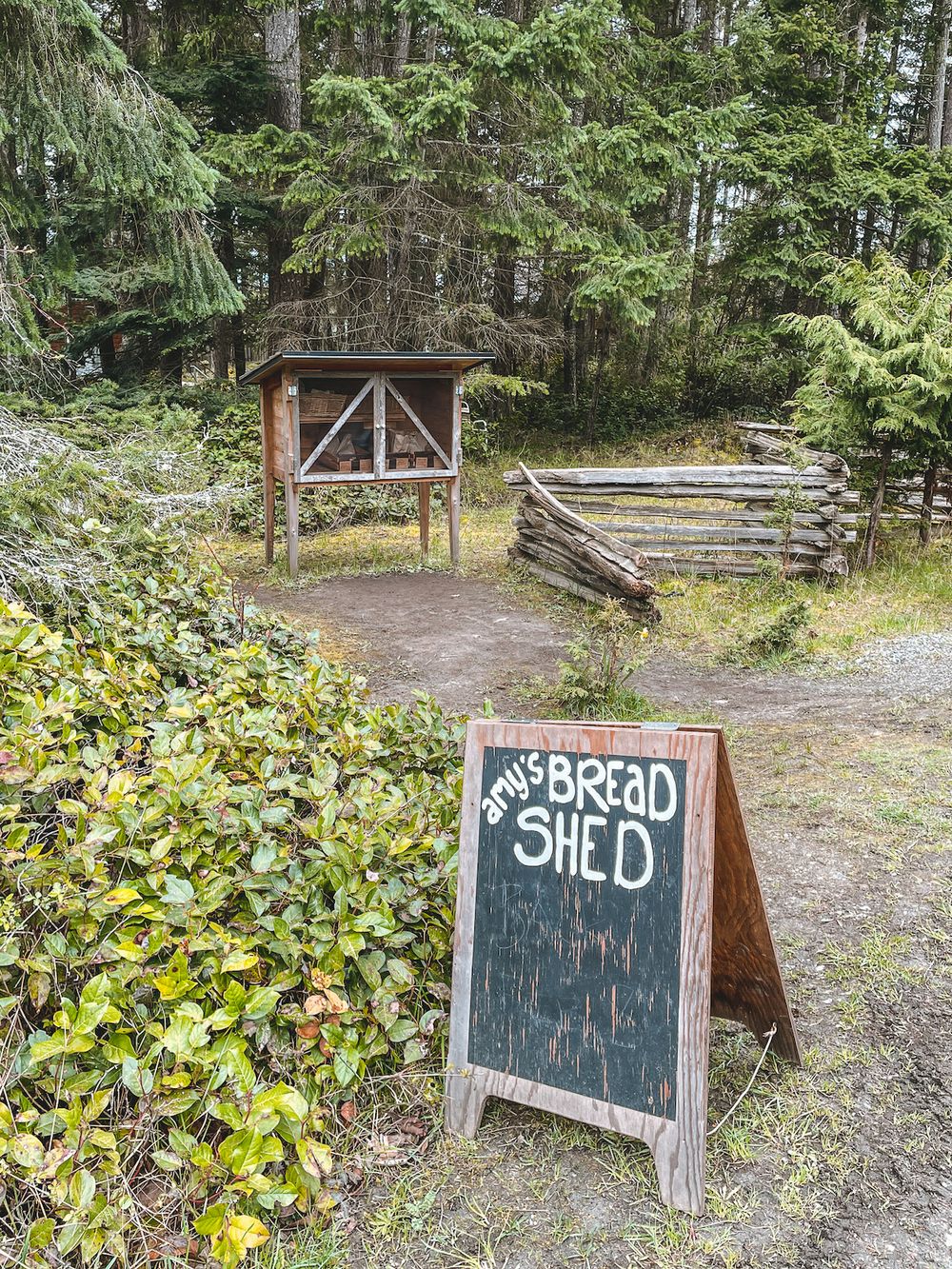 5 Pender Island Restaurants You Have to Try