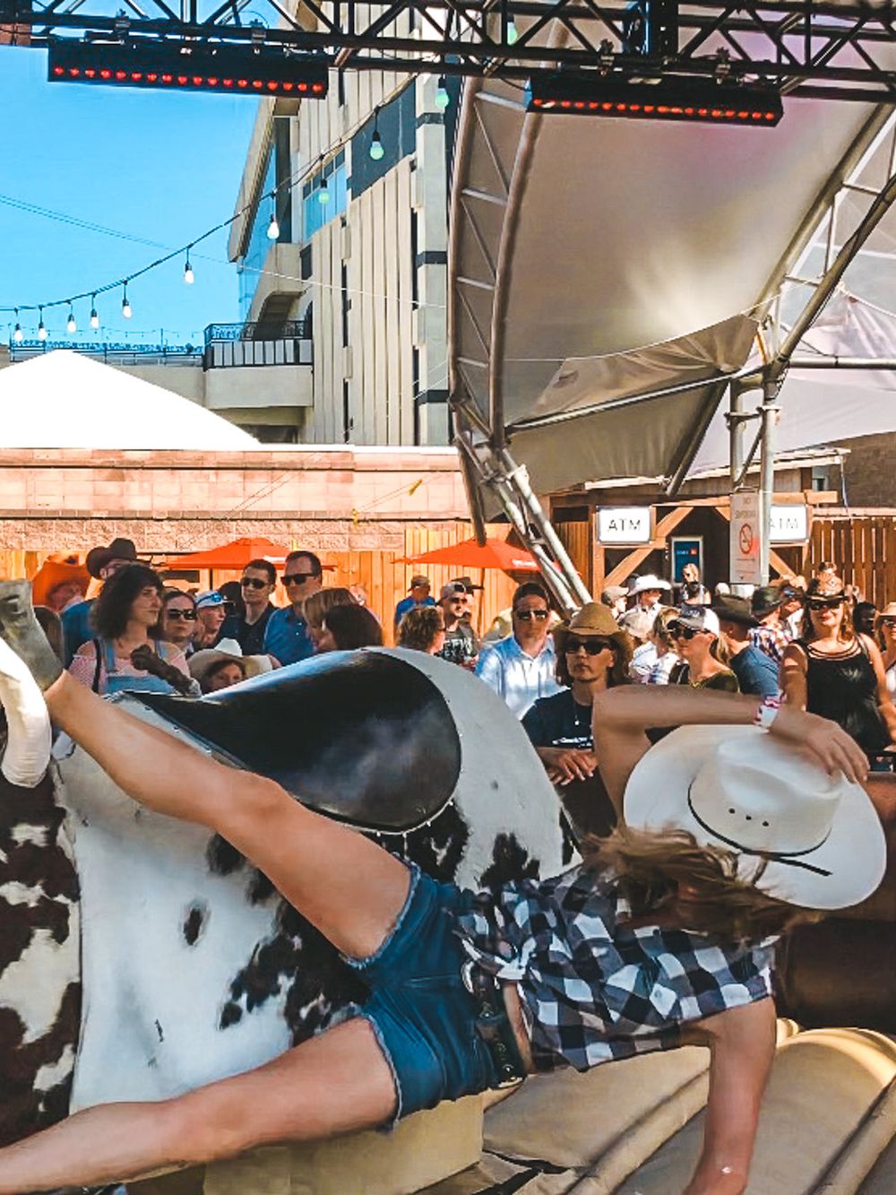 11 Best Things to do at the Calgary Stampede