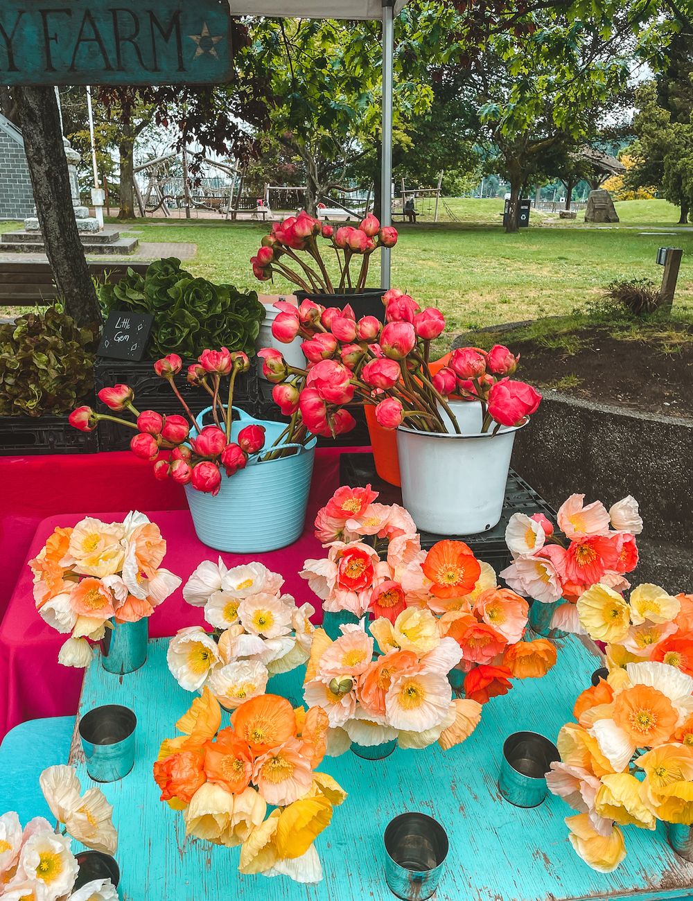 34 Best Things to do in Salt Spring Island, BC