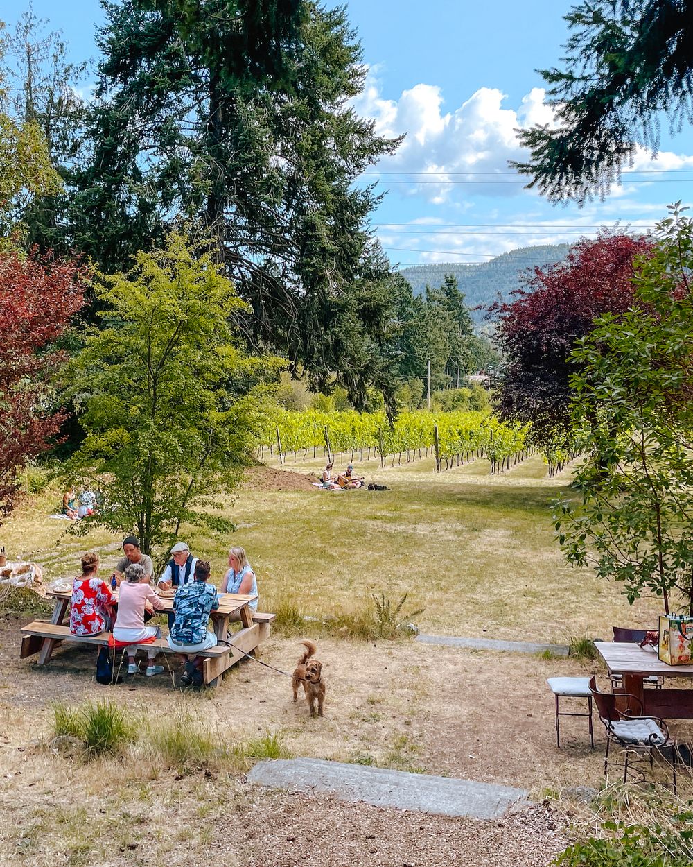 Ultimate Salt Spring Island Day Trip - A Local's Guide