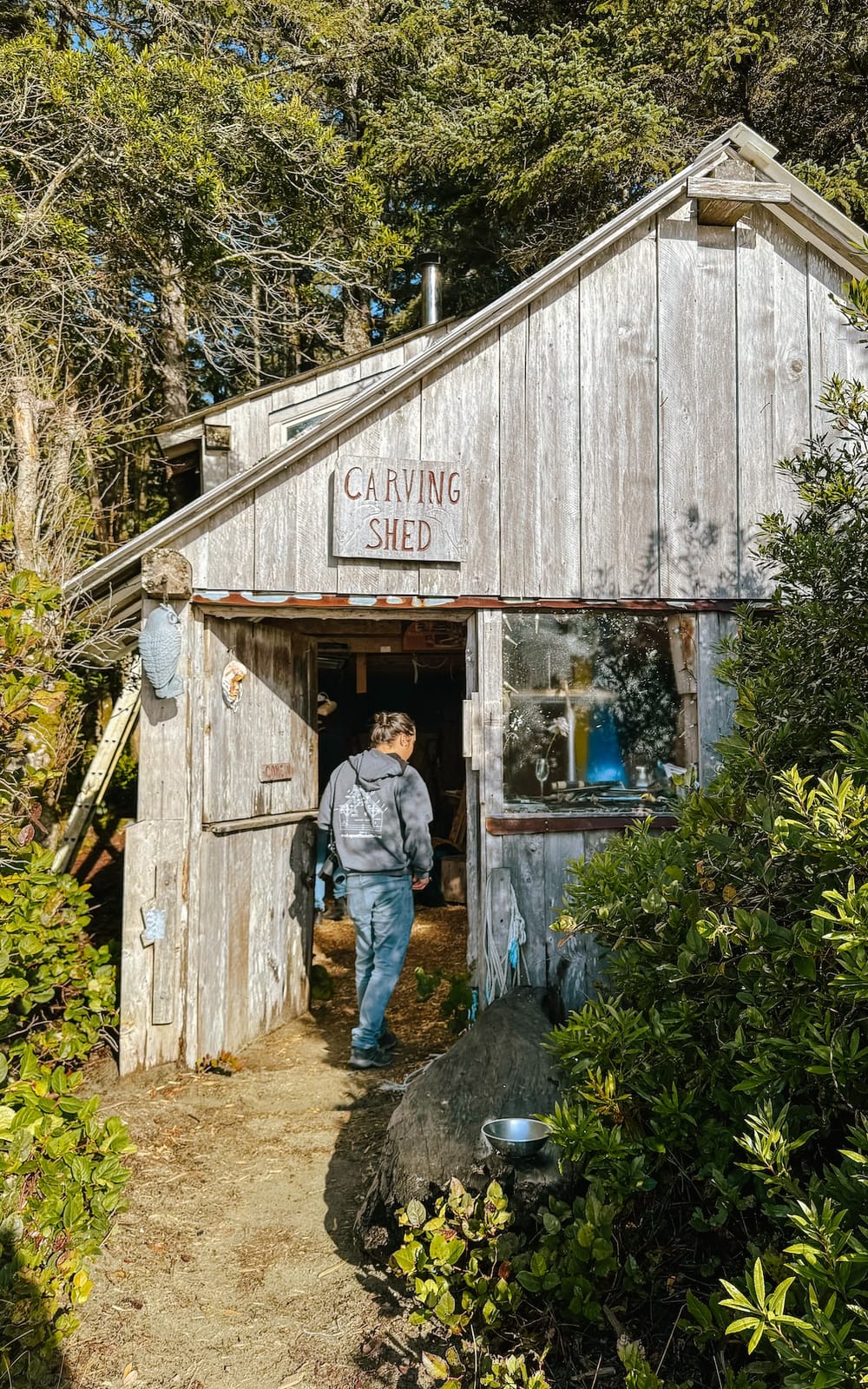 21 Cozy Things to Do in Tofino in Winter
