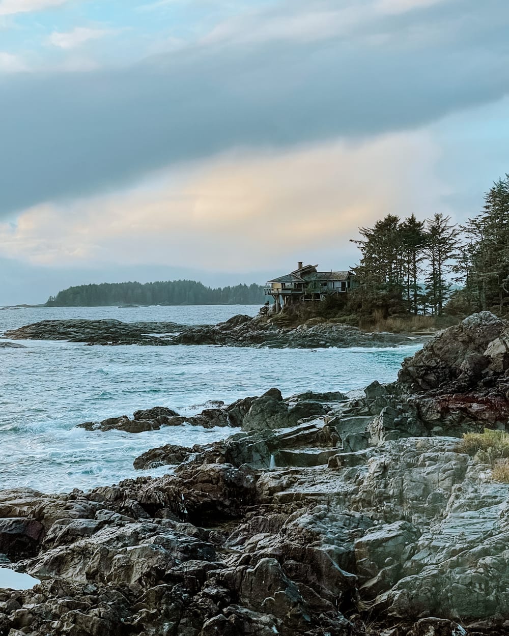 21 Cozy Things to Do in Tofino in Winter