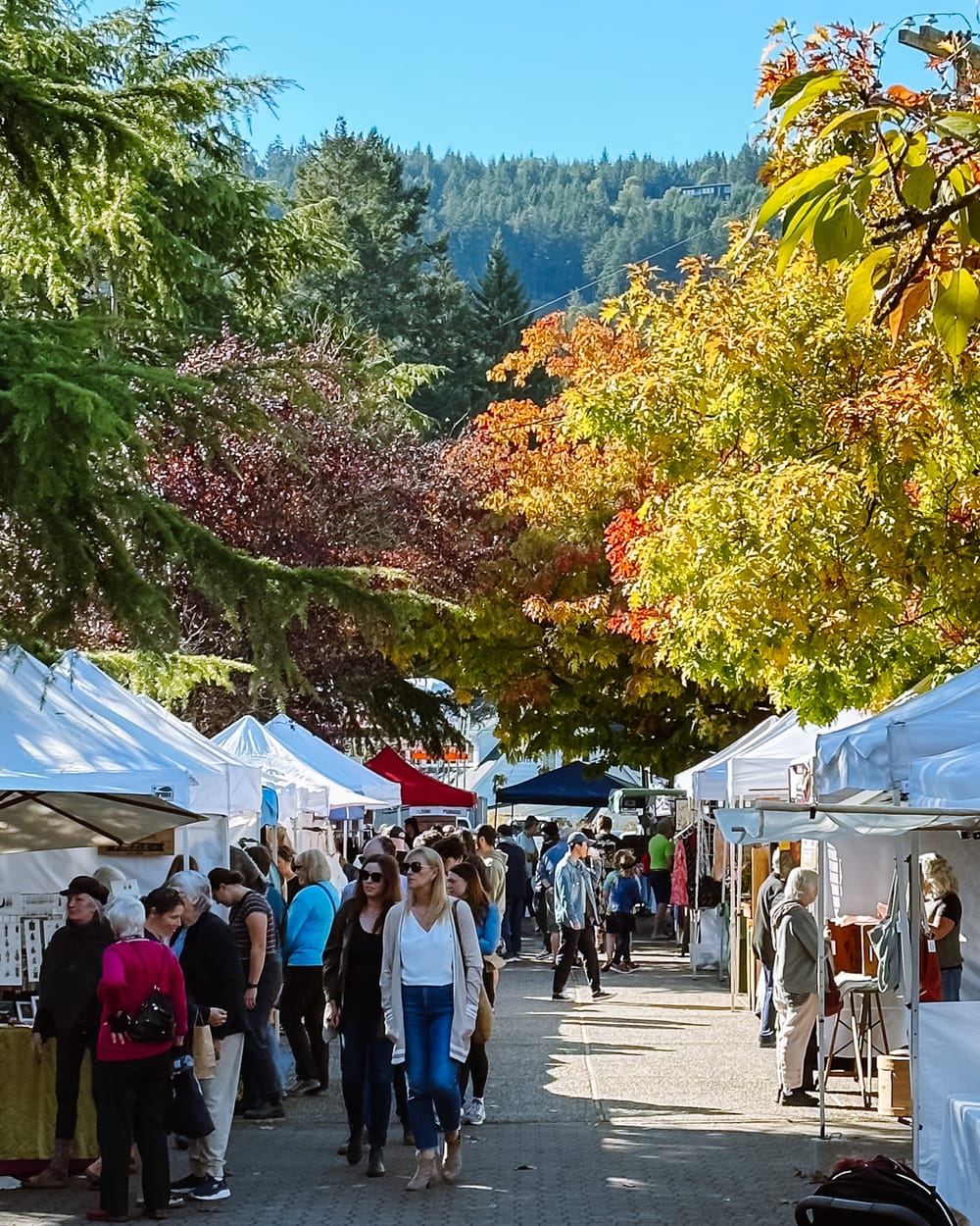 Salt Spring Island Itinerary for a Weekend Getaway