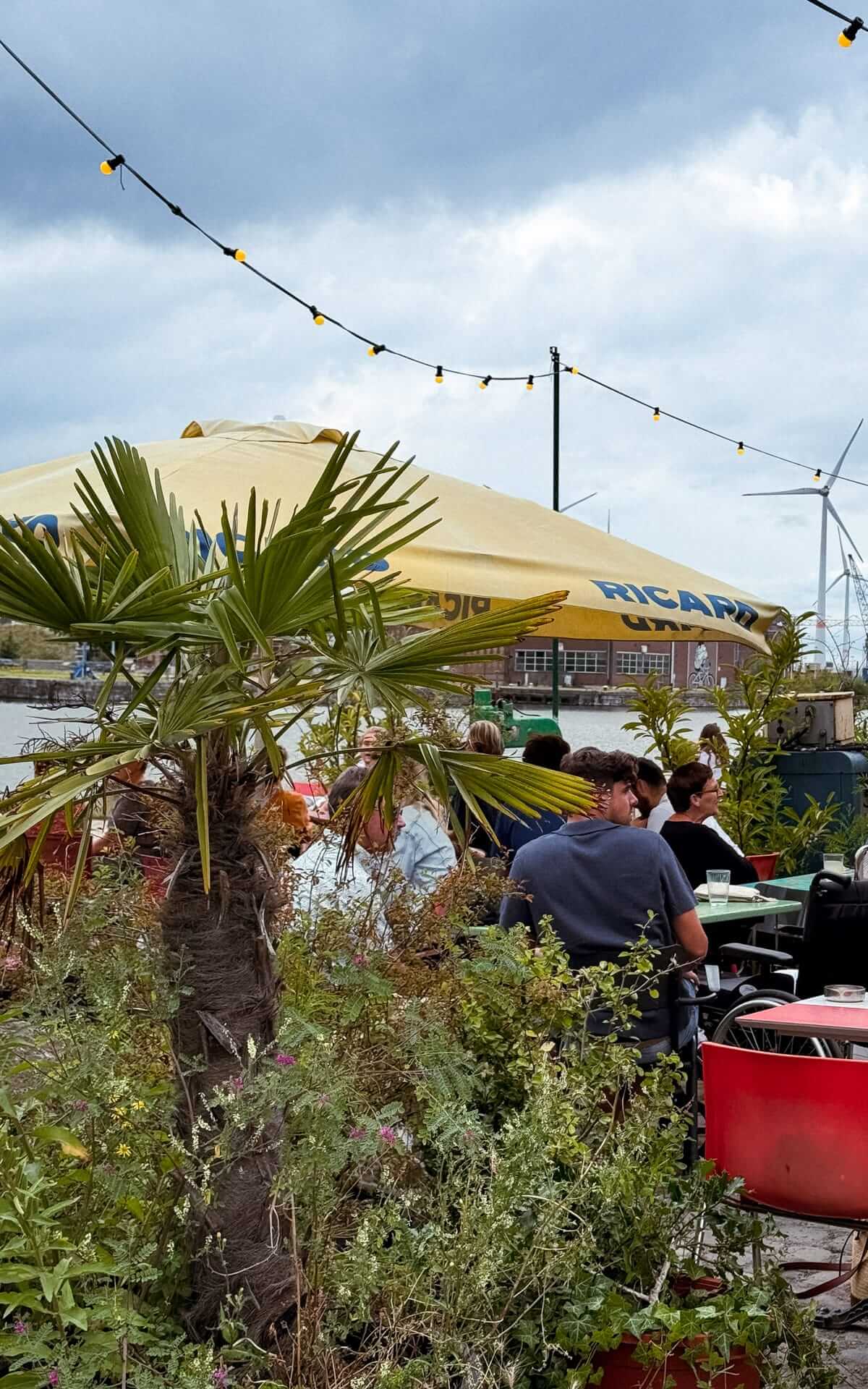 11 Fun Things to Do in Antwerp at Night