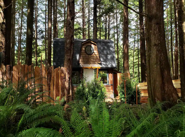 8 Best Things to do in Ucluelet BC