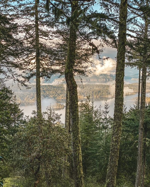 33 Best Things to do in Salt Spring Island BC