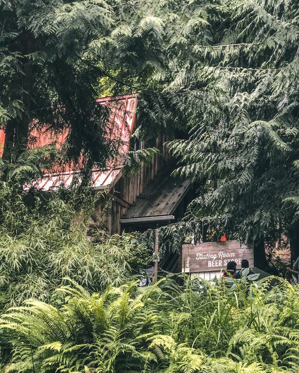 34 Best Things to do in Salt Spring Island, BC