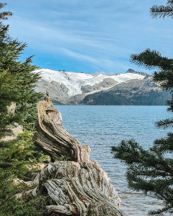 Garibaldi Lake and Panorama Ridge Camping & Hiking Guide