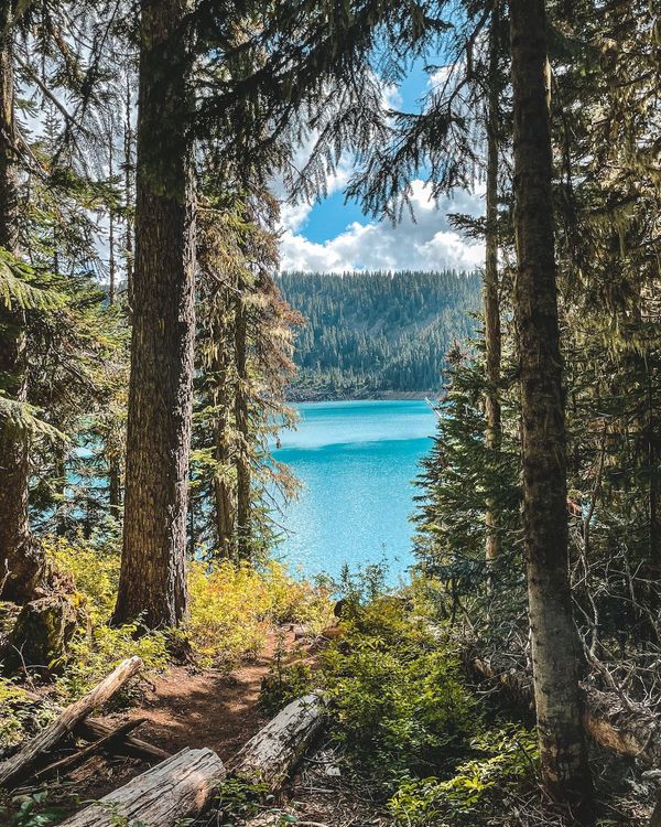 Garibaldi Lake and Panorama Ridge Camping & Hiking Guide