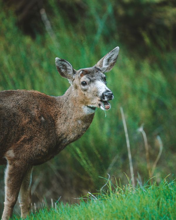 23 Best Things to do on Pender Island BC