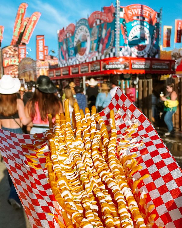 11 Best Things to do at the Calgary Stampede