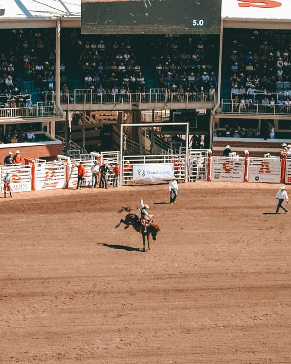 11 Best Things to do at the Calgary Stampede