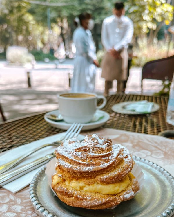 17 Unique Things to Do in Condesa, Mexico City