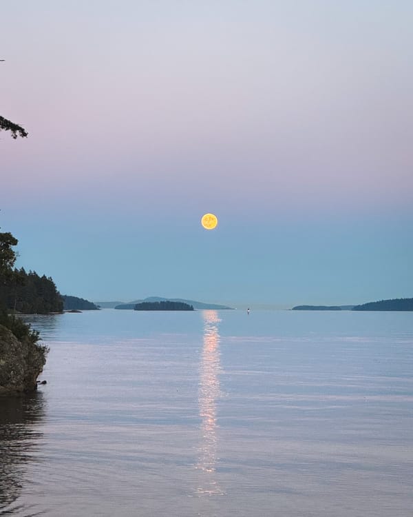 How to Get to Salt Spring Island, BC