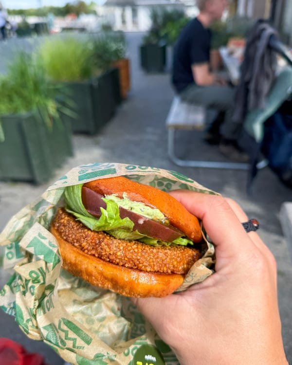 4 Days in Copenhagen - Local Hot Spots & Unique Experiences